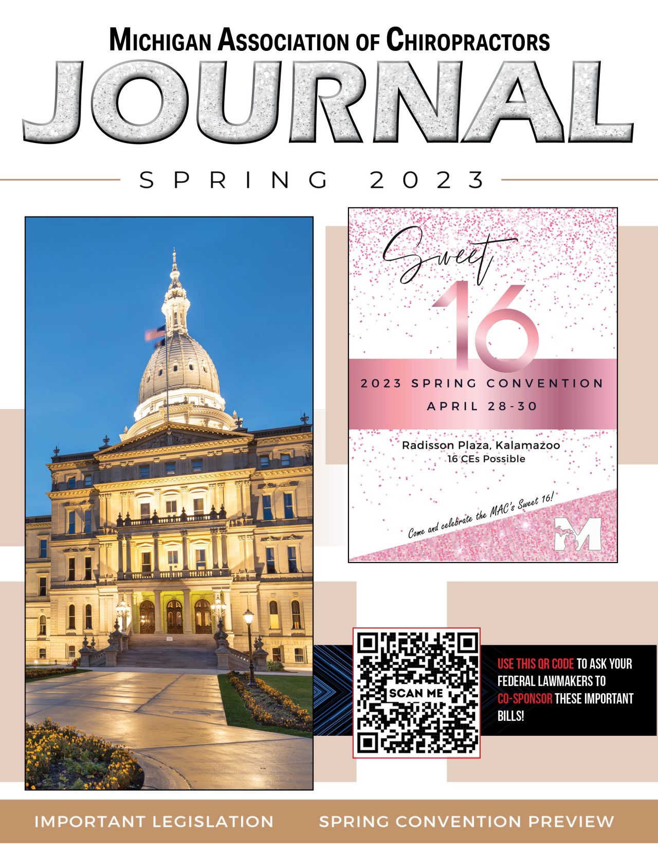 Journal - Michigan Association of Chiropractors